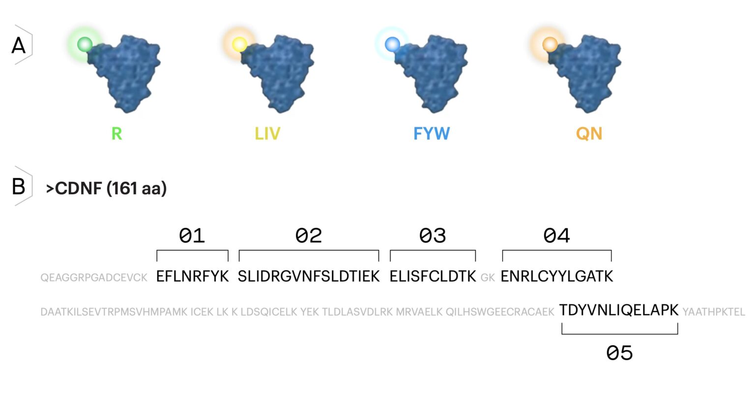 Protein Identification Applications | Quantum-Si