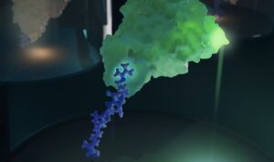 Resources | Quantum-Si