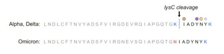 Protein Variants Applications | Quantum-Si