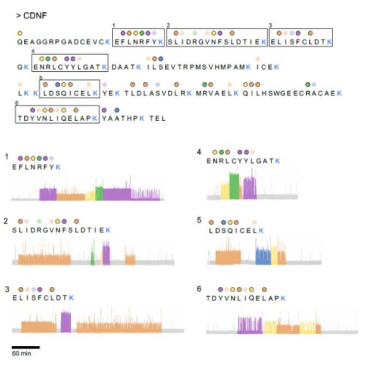 Protein Identification Applications | Quantum-Si