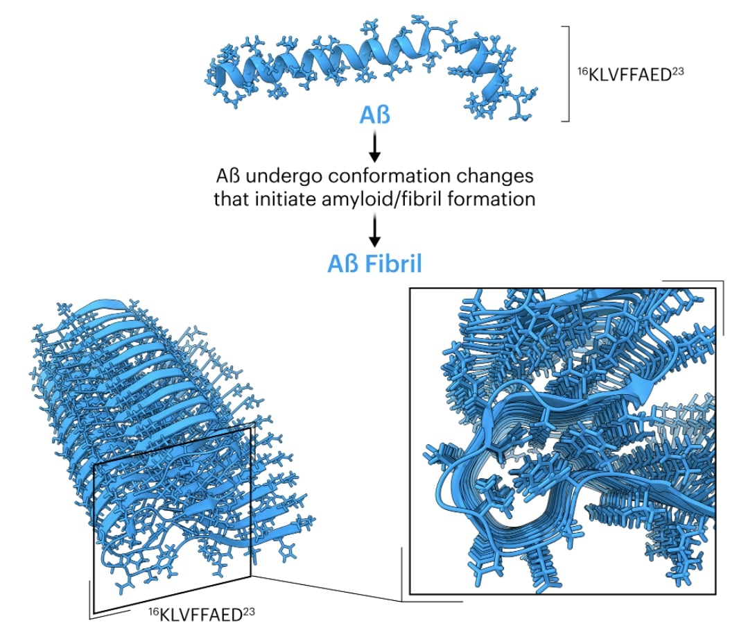 Protein Variant Applications | Quantum-Si