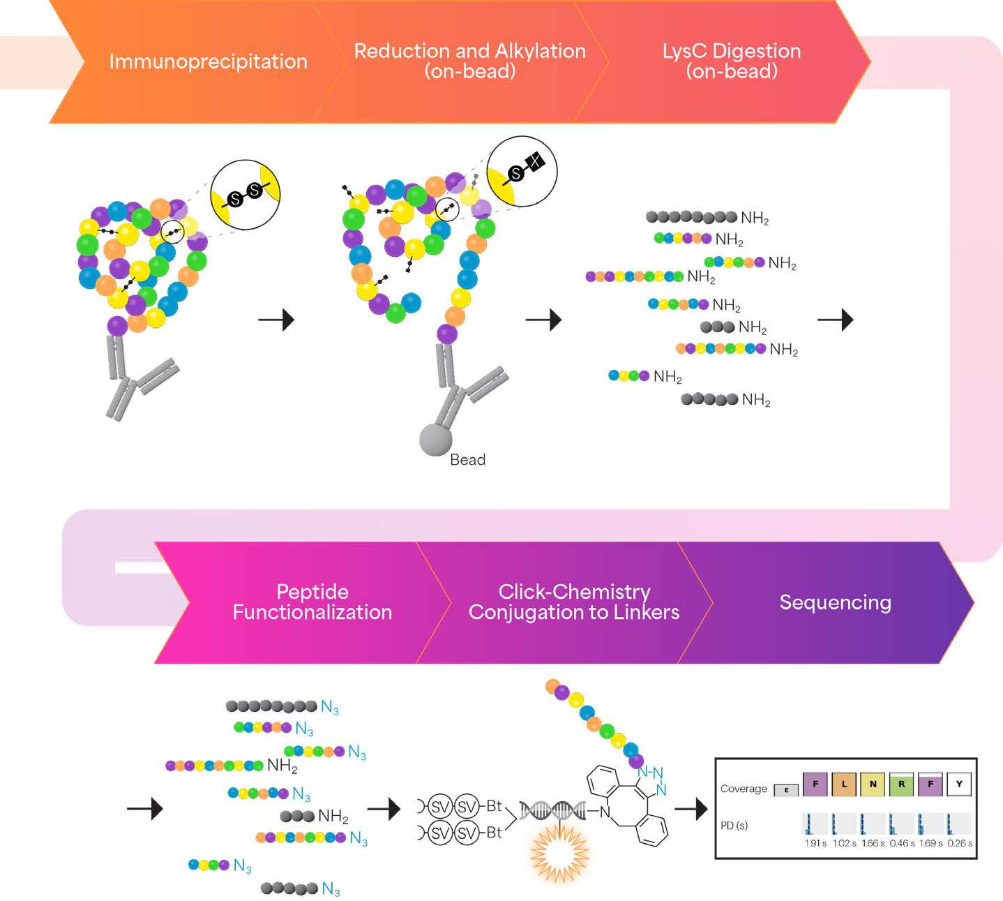 Antibody Sequencing Applications | Quantum-Si
